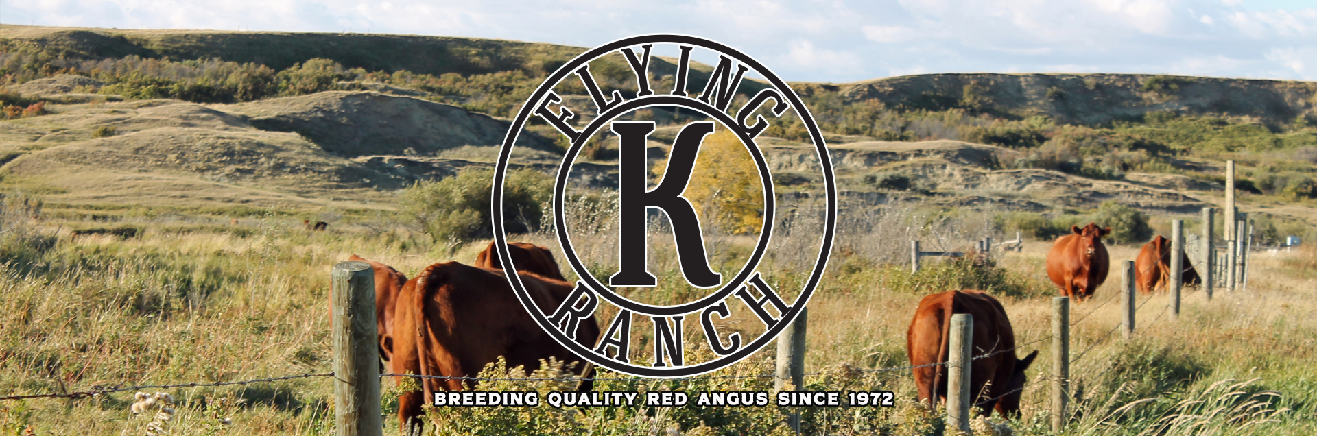 Flying K Ranch